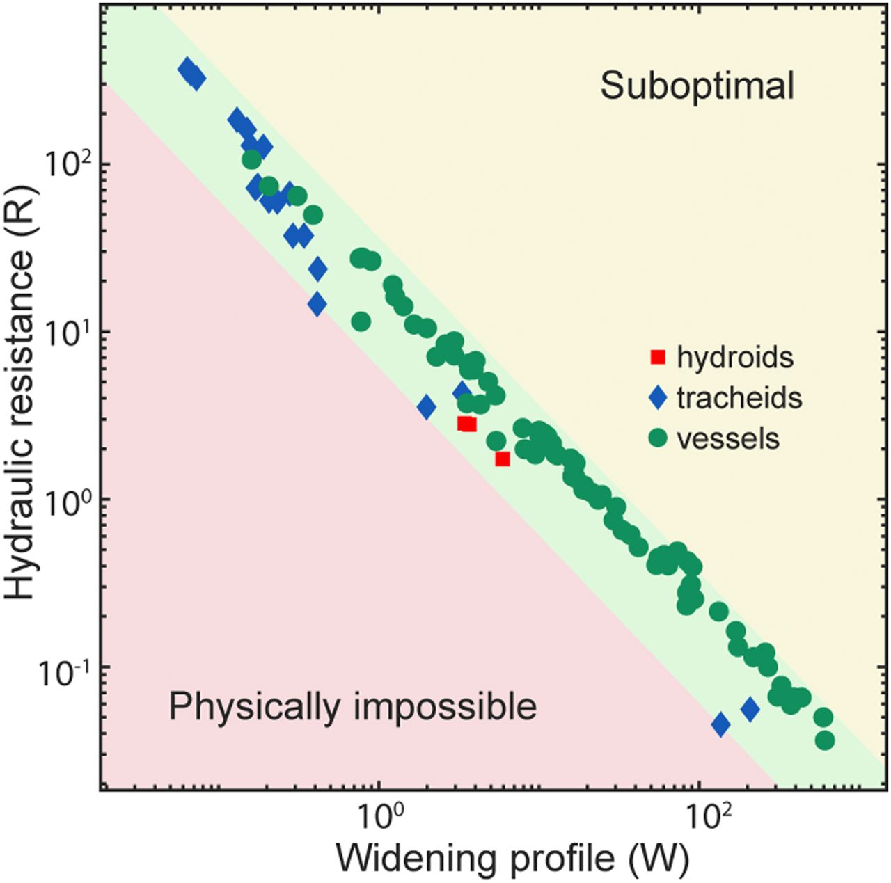 The Widened Pipe Model of plant hydraulic evolution | LIPh