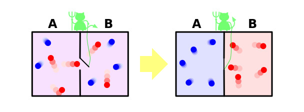Non-equilibrium Statistical Mechanics | LIPh